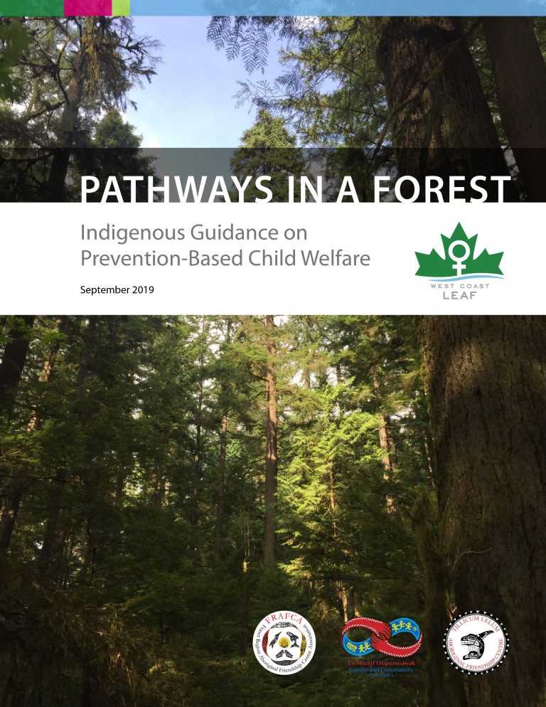 Pathways in a Forest: Indigenous guidance on prevention-based child ...