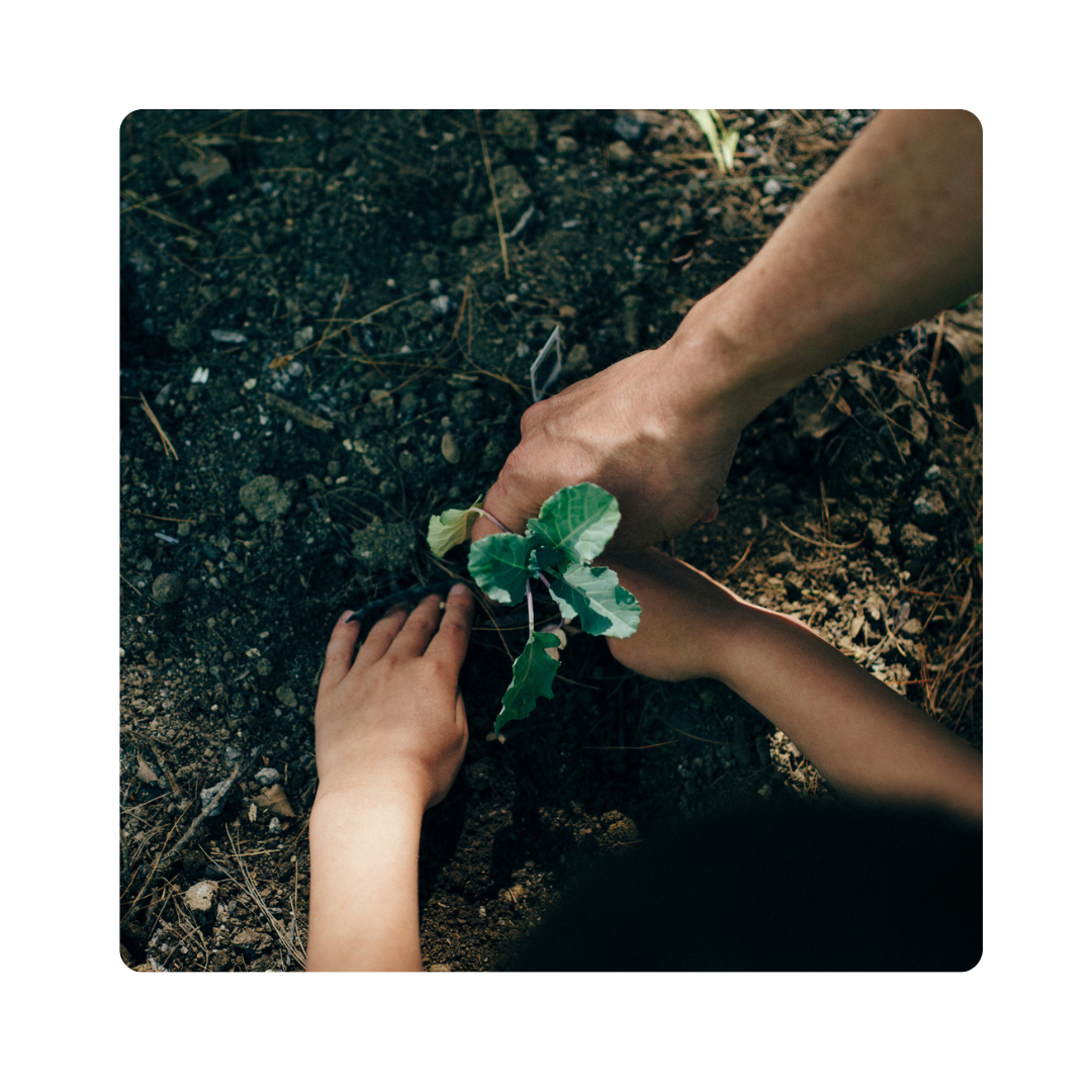 Home - West Coast LEAF