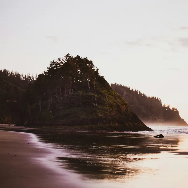 Report back on Changing tides: An action plan to dismantle white ...
